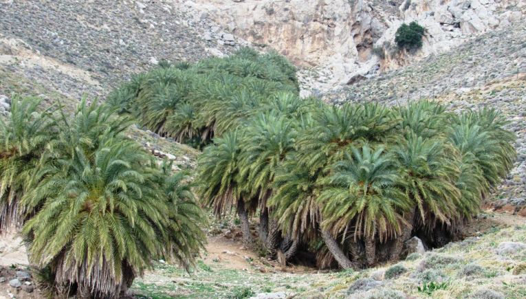 Σε Αχεντρια και Τσούτσσουρα ο Ορειβατικος Συλλογος Αγίου Νικολάου ...
