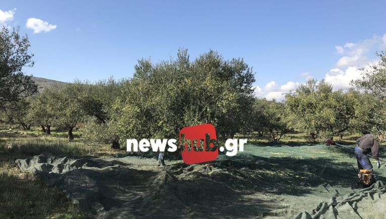 Εργάτες γης: Παρατείνεται η κατά παρέκκλιση μετάκληση-Τι ισχύει για τη ...