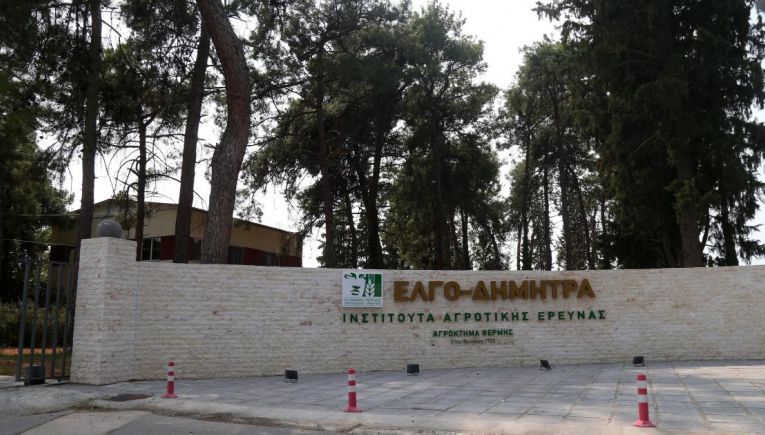 Παύθηκε από τα καθήκοντα του τακτικός επιθεωρητής του ΕΛΓΟ-ΔΗΜΗΤΡΑ λόγω ...