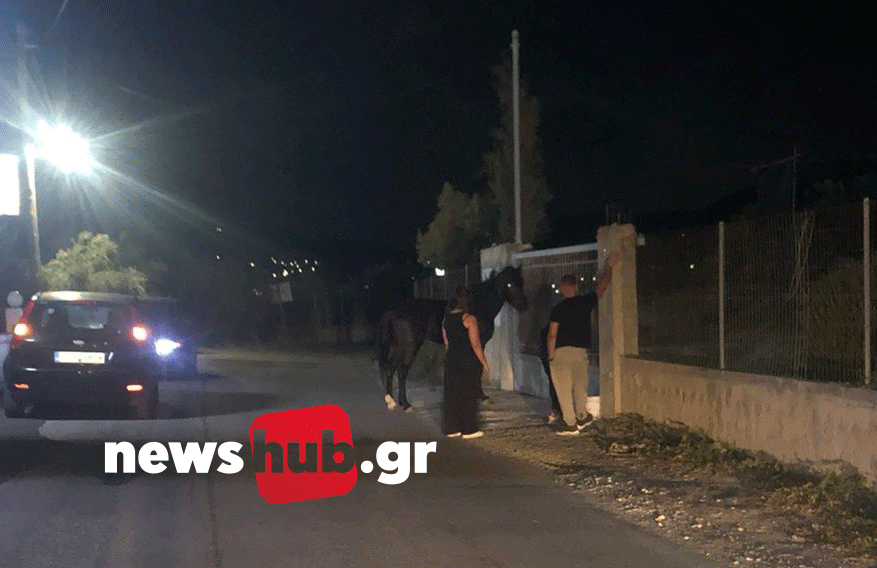 Ηράκλειο: Περιπέτεια μέσα στη νύχτα με πρωταγωνιστή ένα άλογο - Από ...