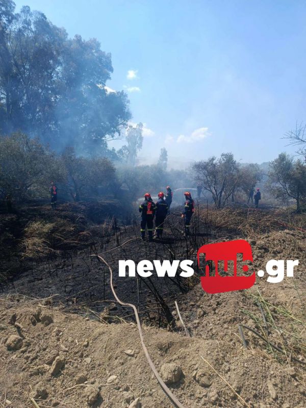 Μεσαρά: Υπό μερικό έλεγχο η φωτιά στο Διονύσι- Δεύτερη πύρινη εστία ...