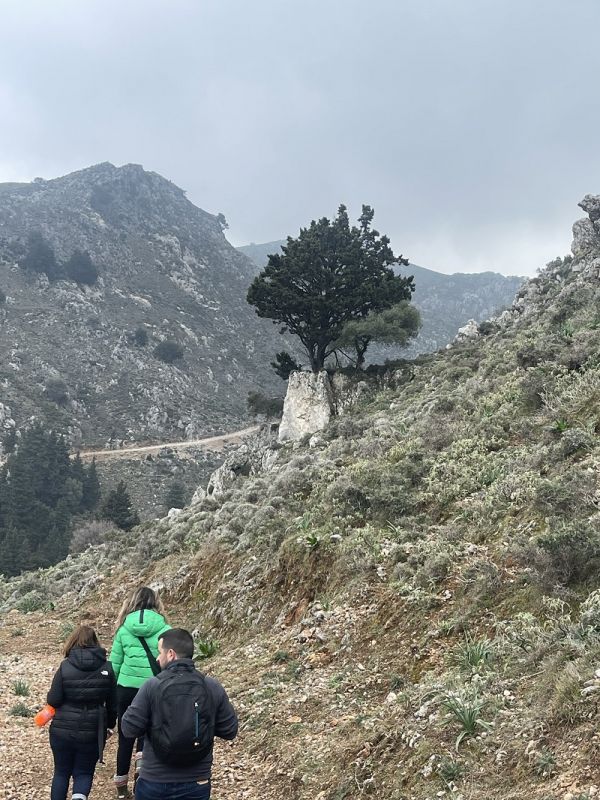 Δ. Πλατανιά: Αναδείχθηκε το ιστορικό μονοπάτι της βασιλικής στράτας ...